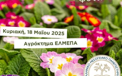 ΕΛΜΕΠΑ | Ελληνικό Μεσογειακό Πανεπιστήμιο